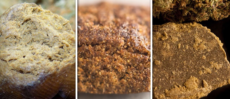 Die Qualität von Hasch Überprüfen - CannaConnection